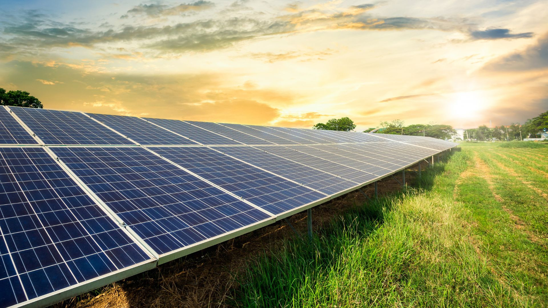 ‘Bugs’ to boost solar energy storage underground in ‘soil batteries ...