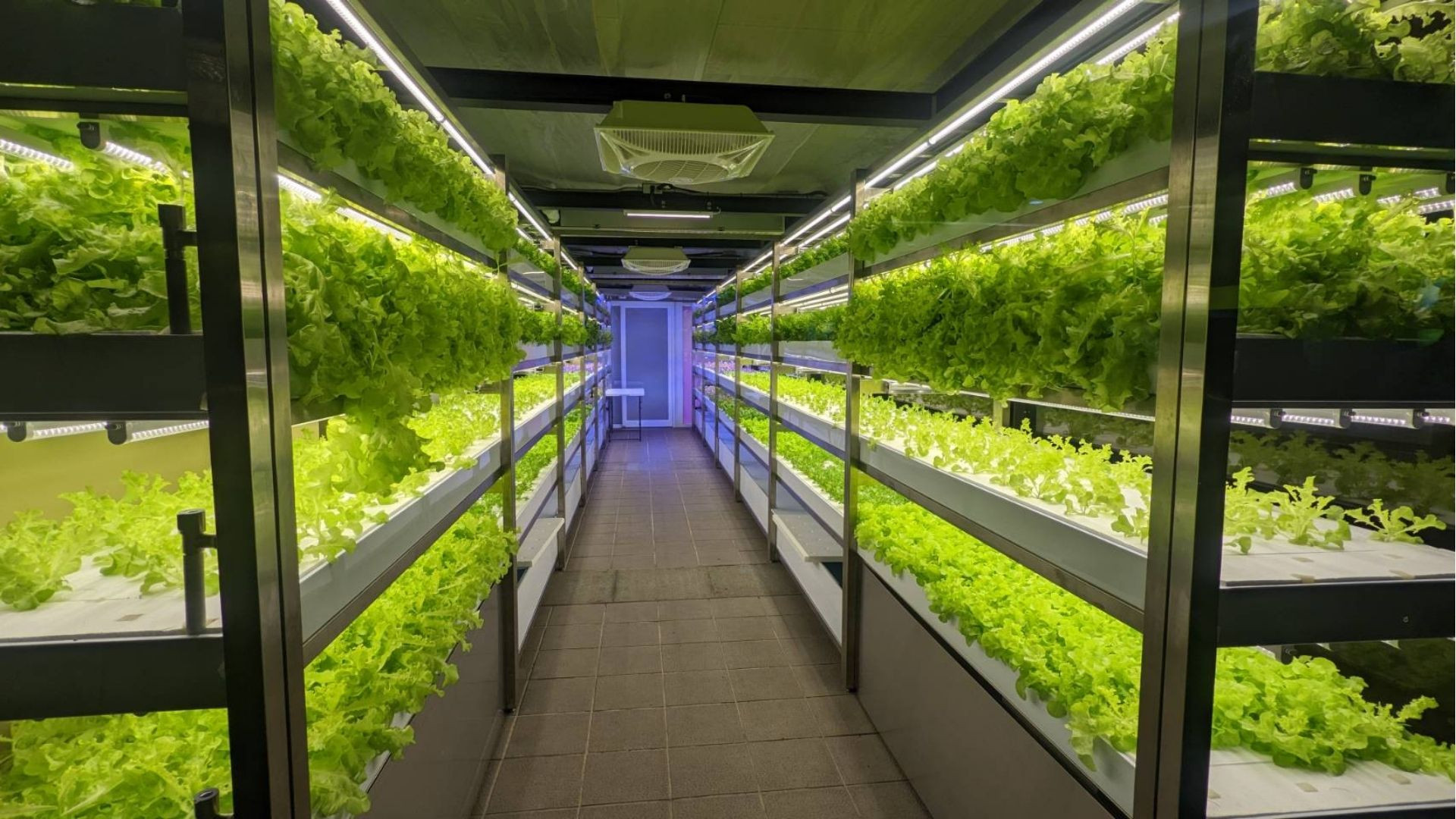 Taiwan transforms underground metro station into an organic vertical farm