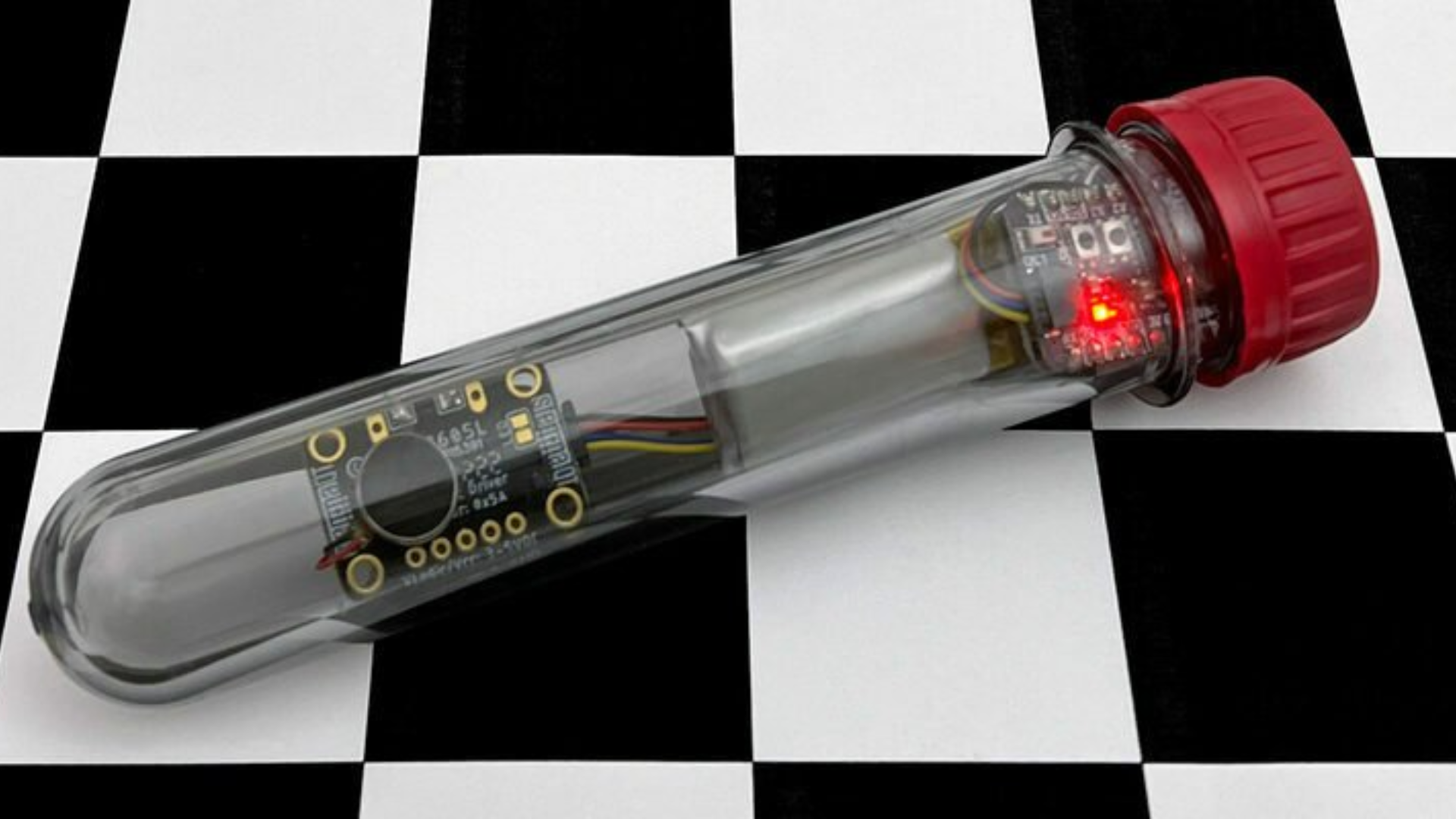 DIY website lays down steps to make a chess cheating tool