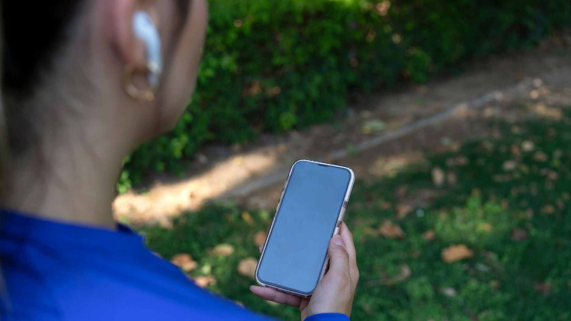 Echoes heart app: Researchers turn to iPhone to record and visualize ...