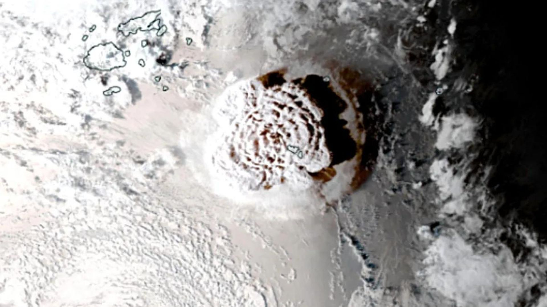 Tonga volcano eruption caused a massive phytoplankton bloom after just ...