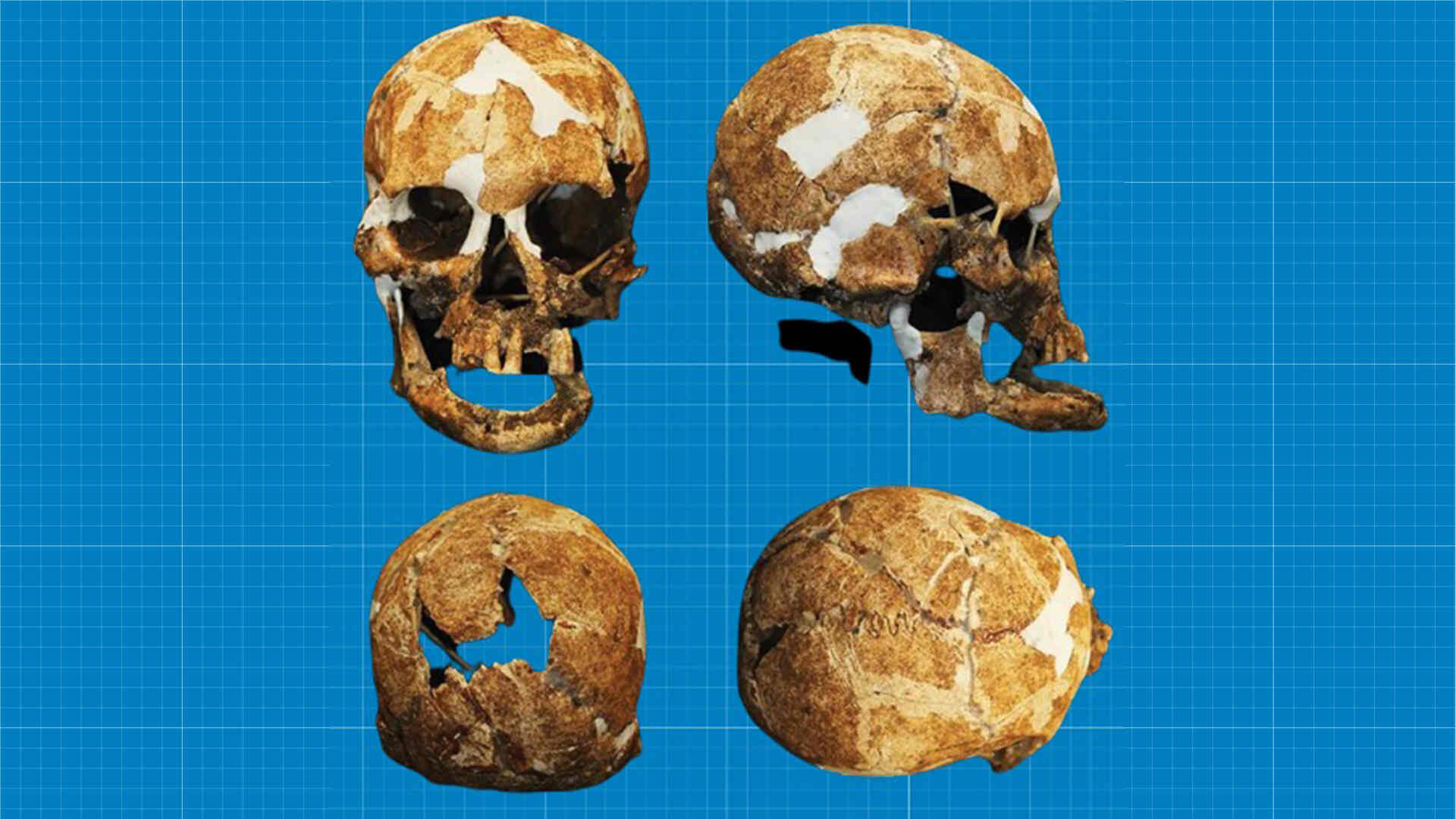 6,000-year-old skull confirms legend of indigenous ‘tiny’ people in Taiwan