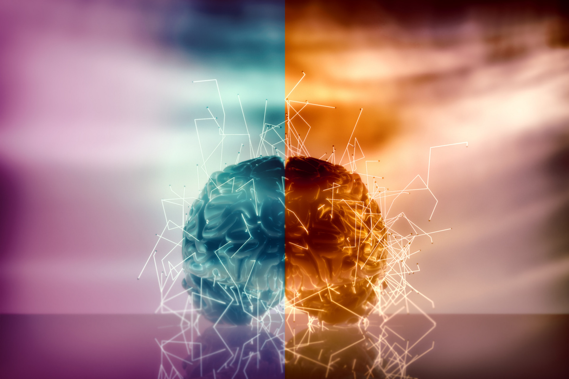 Study reveals how word and face recognition can be supported with only ...