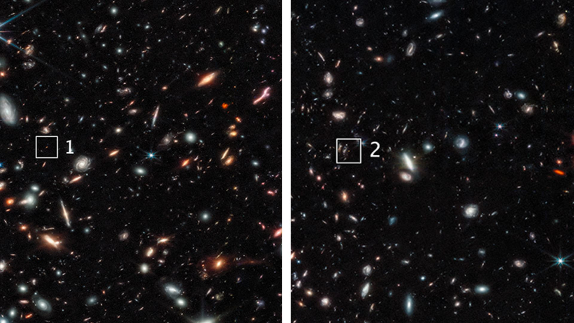 James Webb Space Telescope reveals two of the oldest and most distant galaxies ever seen