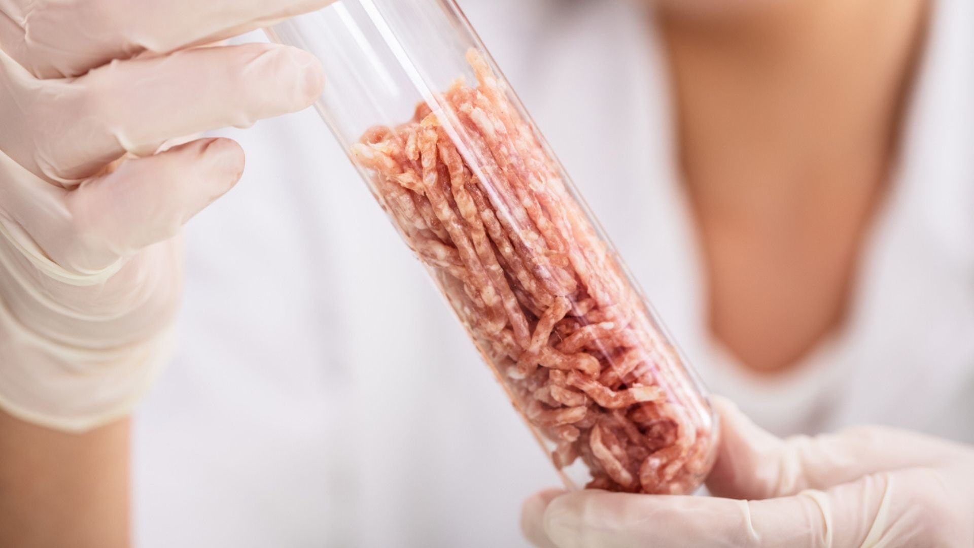 Lab grown culture meat will be the future of food technology