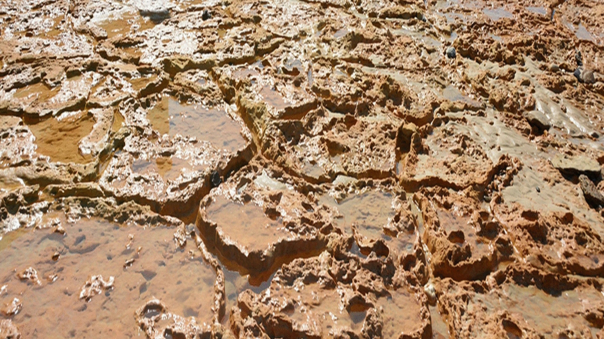 These never-before-dated Neanderthal footprints could be nearly 300,000 ...