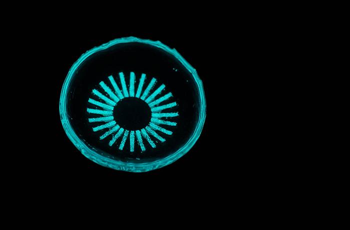 Glow-in-the-Dark Contact Lenses Could Help Prevent Blindness