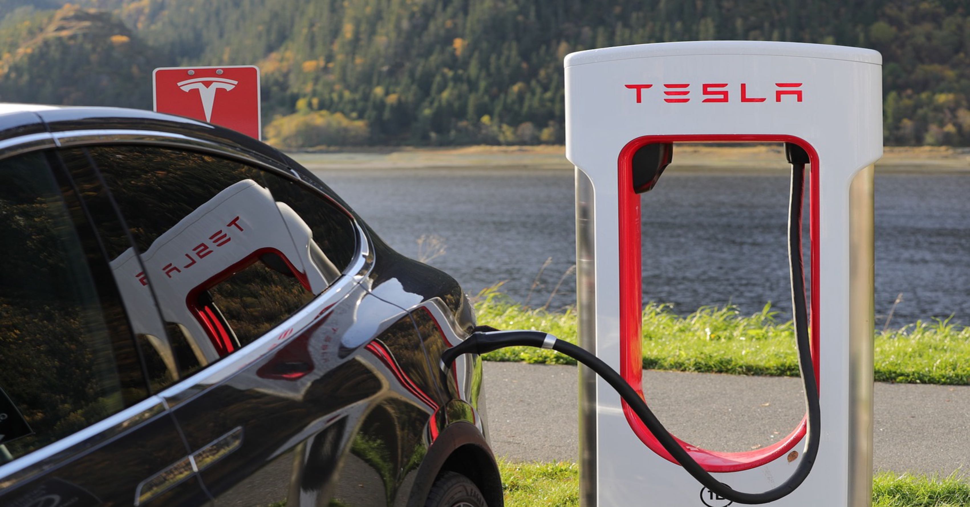 Elon Musk Appoints Financial Giant Morgan Stanley To Take Tesla Private