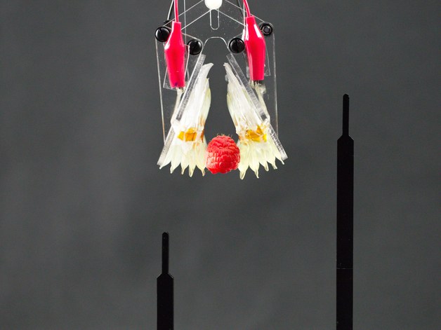 These Super Flexible Robotic Muscles Can Repair Themselves Just Like Humans