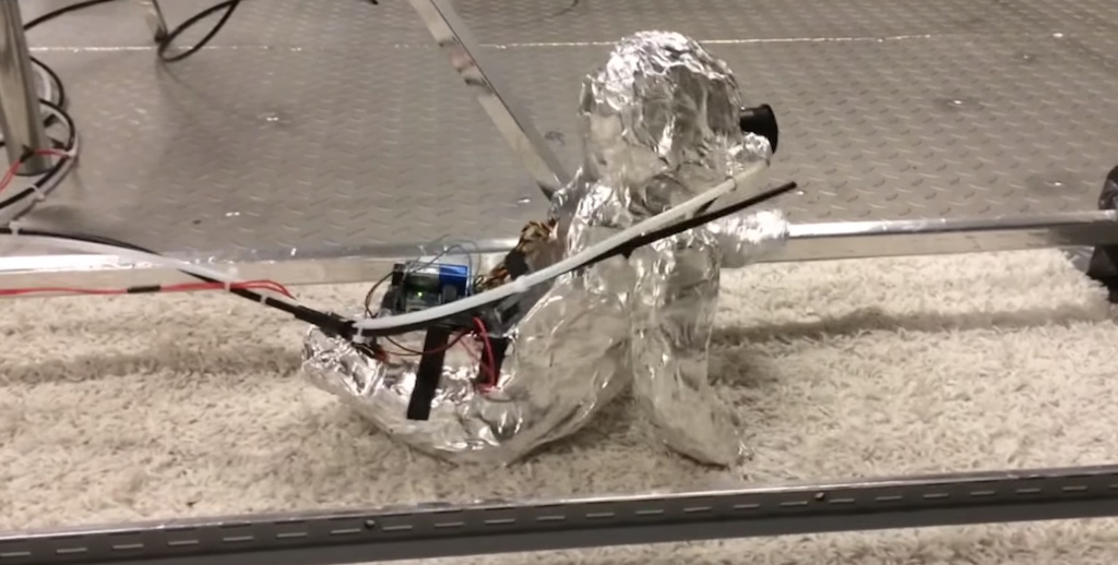 This Creepy Tin Foil Robot Helps Scientists Understand What Crawling ...