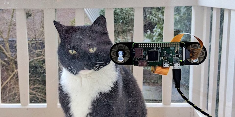 This Engineer Built a Facial Recognition Device to Know When His Cats ...