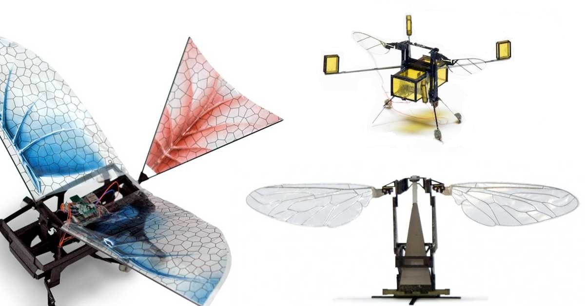 Bug Life: These 5 Robots Were Inspired by Insects