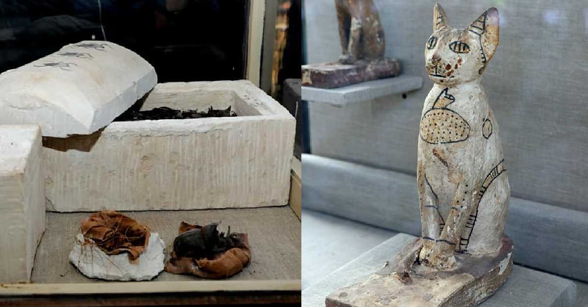 Cat and Scarab Mummies Discovered in 2,500-Year-Old Egyptian Tomb
