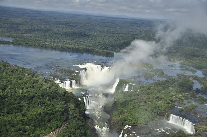 Massive Reforestation Efforts in Brazil Will See 73 Million Trees Planted