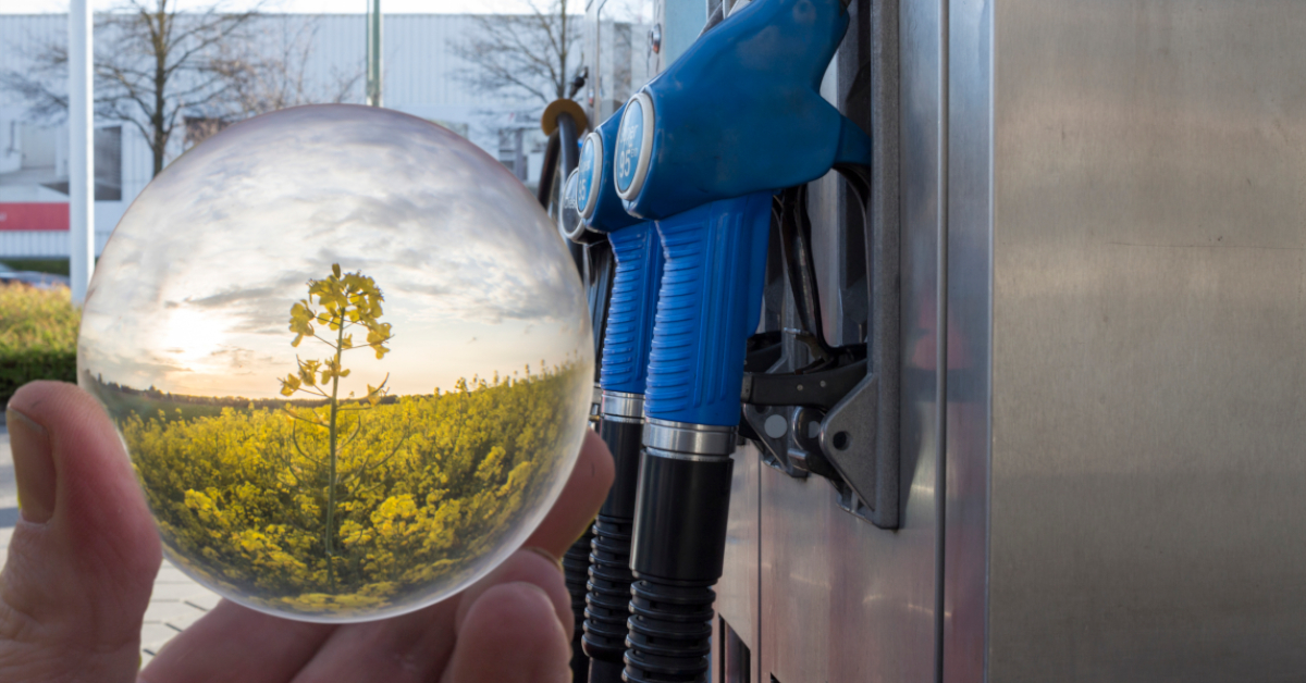 Plant-Based Jet Fuels Could be Cost Competitive with Fossil Fuels