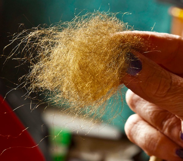 This Italian Artist Is the Only Person in the World Who Can Weave Sea Silk