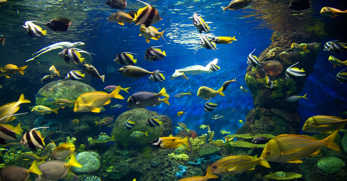 Augmented Reality Helps the Researchers to Understand the Active ...