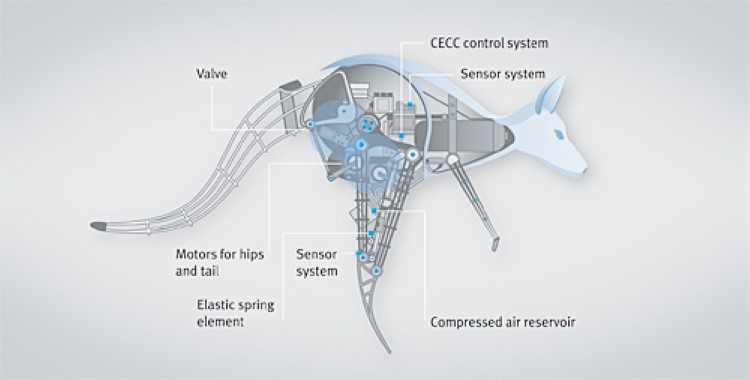 Robotic kangaroo based on the principles of nature