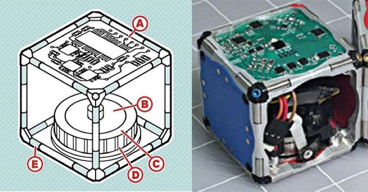 M-Blocks: Robotic cubes that can build themselves