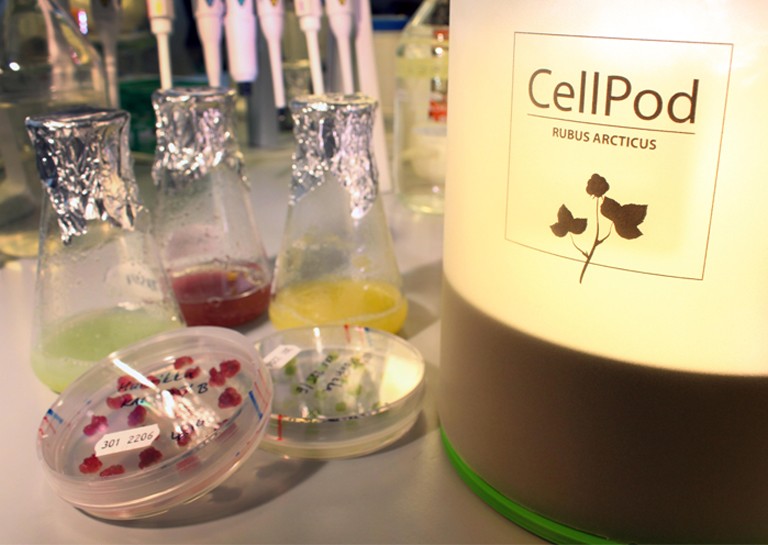 CellPod: The 3D-printed Bio-Tech Gadget Grows Plants by Cells at Home