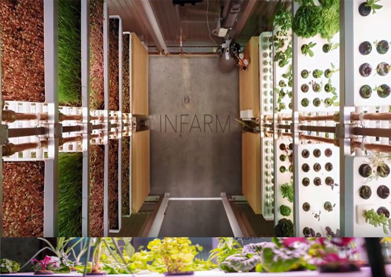 Vertical Farming Revolution Is Coming To A Store Near You