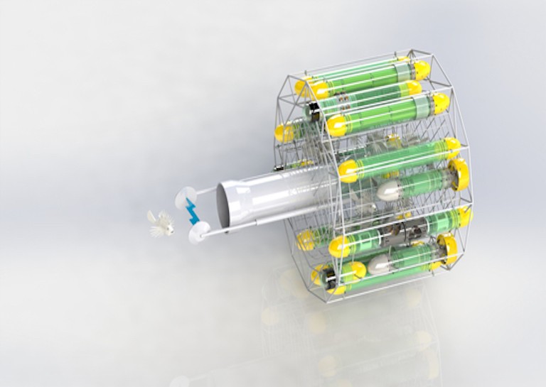 Researchers Create Lionfish Killing Robot to Stop Invasive Species