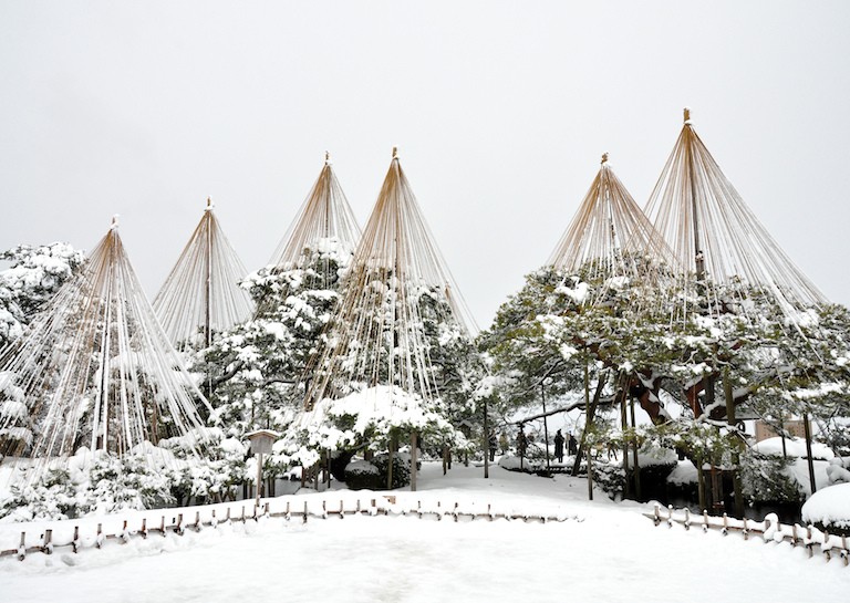 Japanese Tree Suspenders Save Branches from Breaking in the Snow