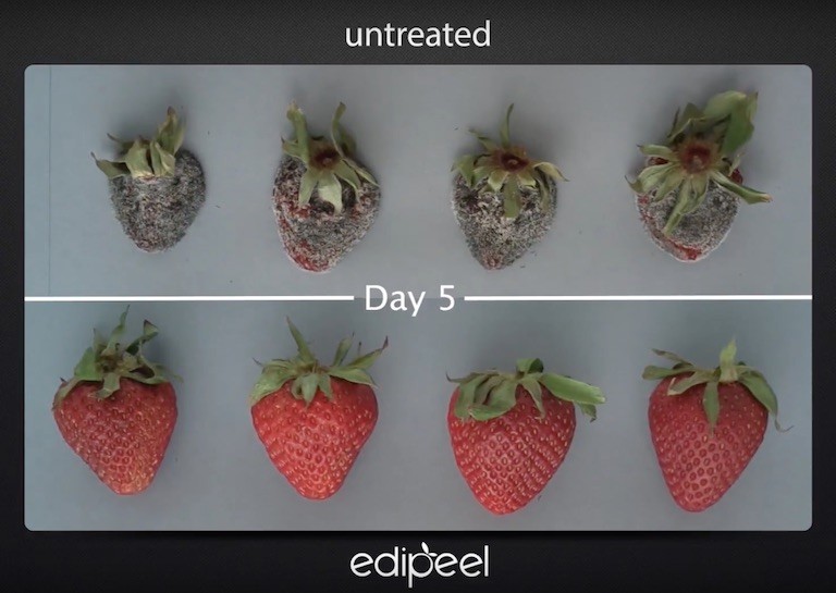 Fruits and Vegetables Coated with this Edible Peel Last Five Times Longer