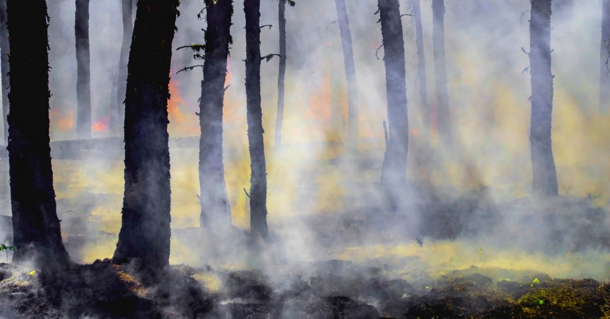 Northern Siberia Wildfire - Minus 60 Degrees Fahrenheit | IE