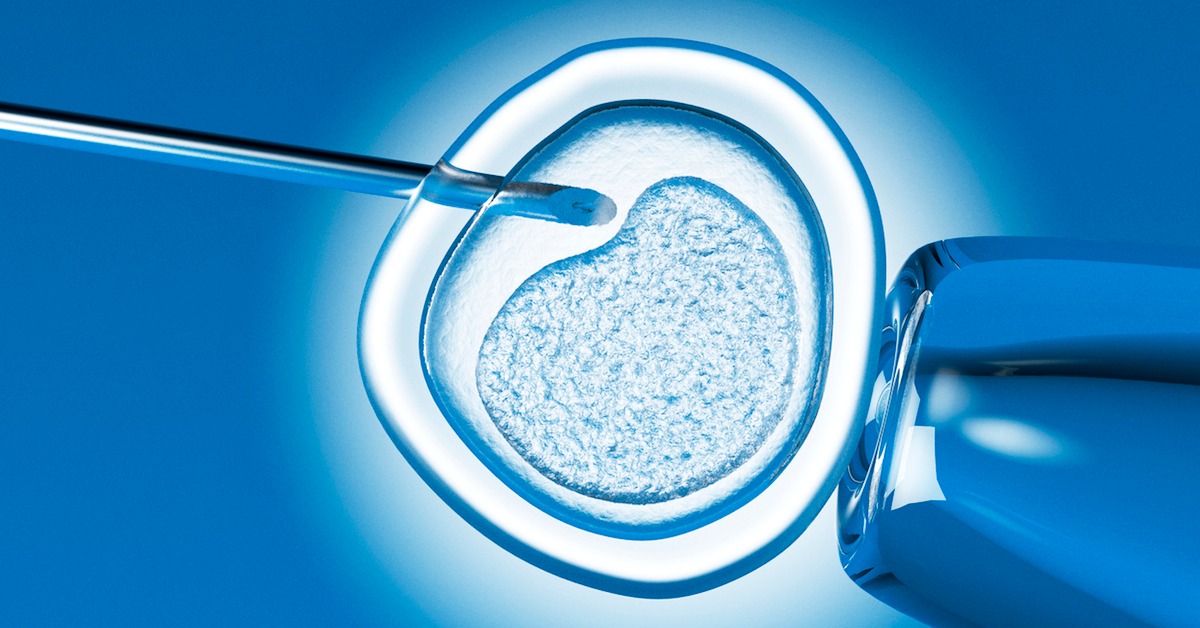 Scientists Are Controversially Creating Human-Monkey Hybrid Embryos