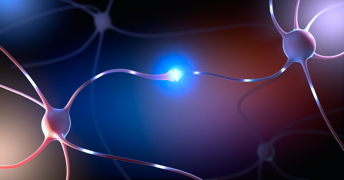 Scientists Discover Brain Receptor Associated with Negative Mood