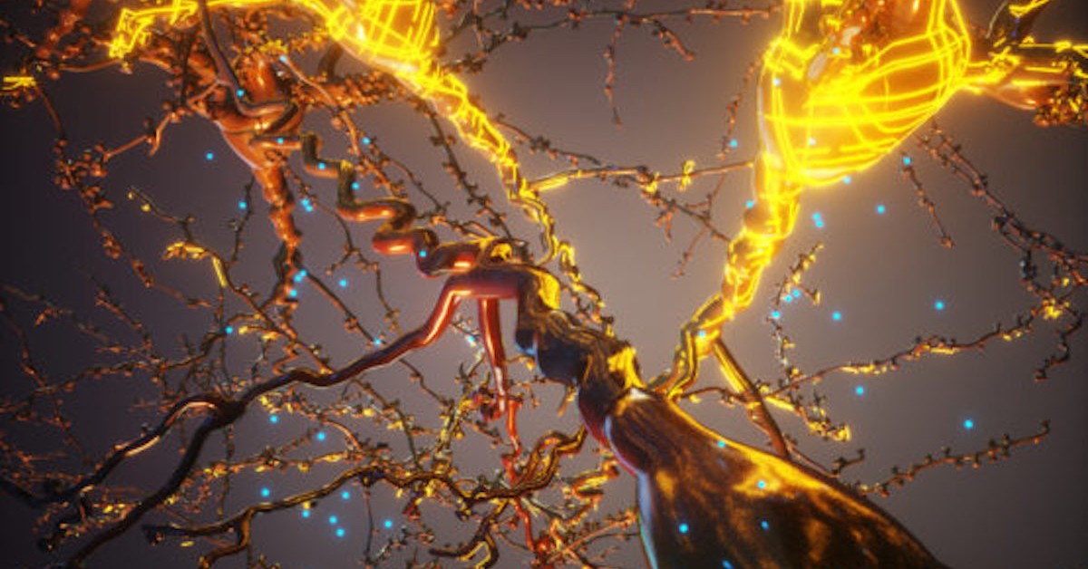 Scientists Reprogram Cells to Carry out Functions inside the Body