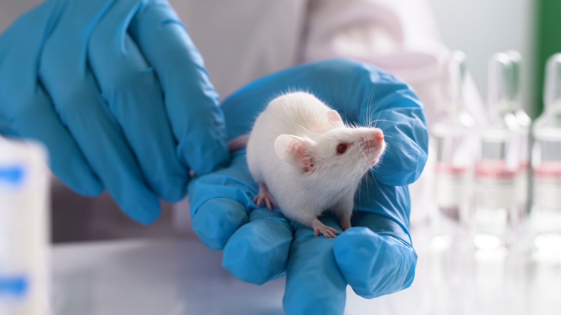 Scientists Use Gene Therapy to Restore Vision After Stroke in Mice