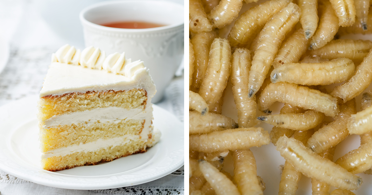 Scientists Bake a Cake Using Butter Made from Bugs, Nobody Notices Any ...