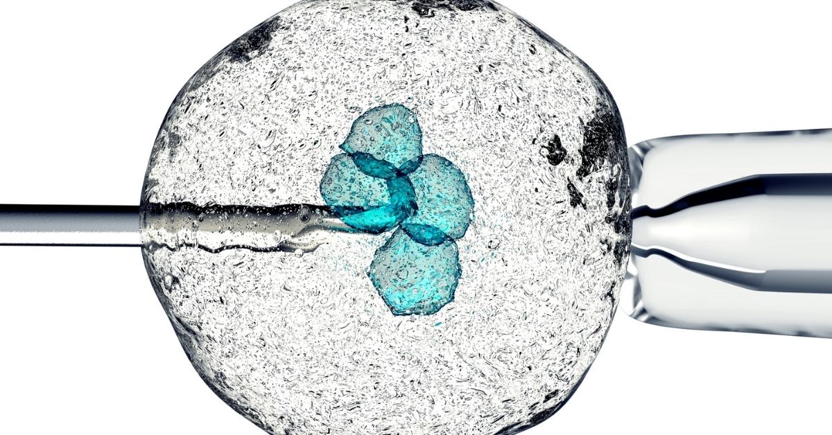 A Female-Founded Startup Is Using AI to Improve IVF Success | IE