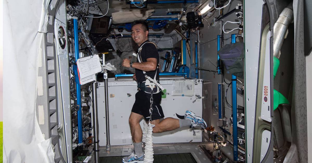 New Research Reveals How to Combat Muscle Loss During Space Flights