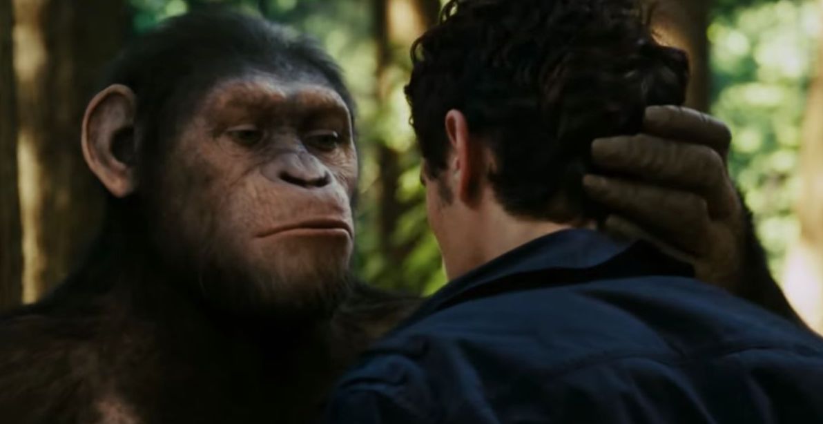 Researchers Translate How Non-Human Primates Hear Sounds