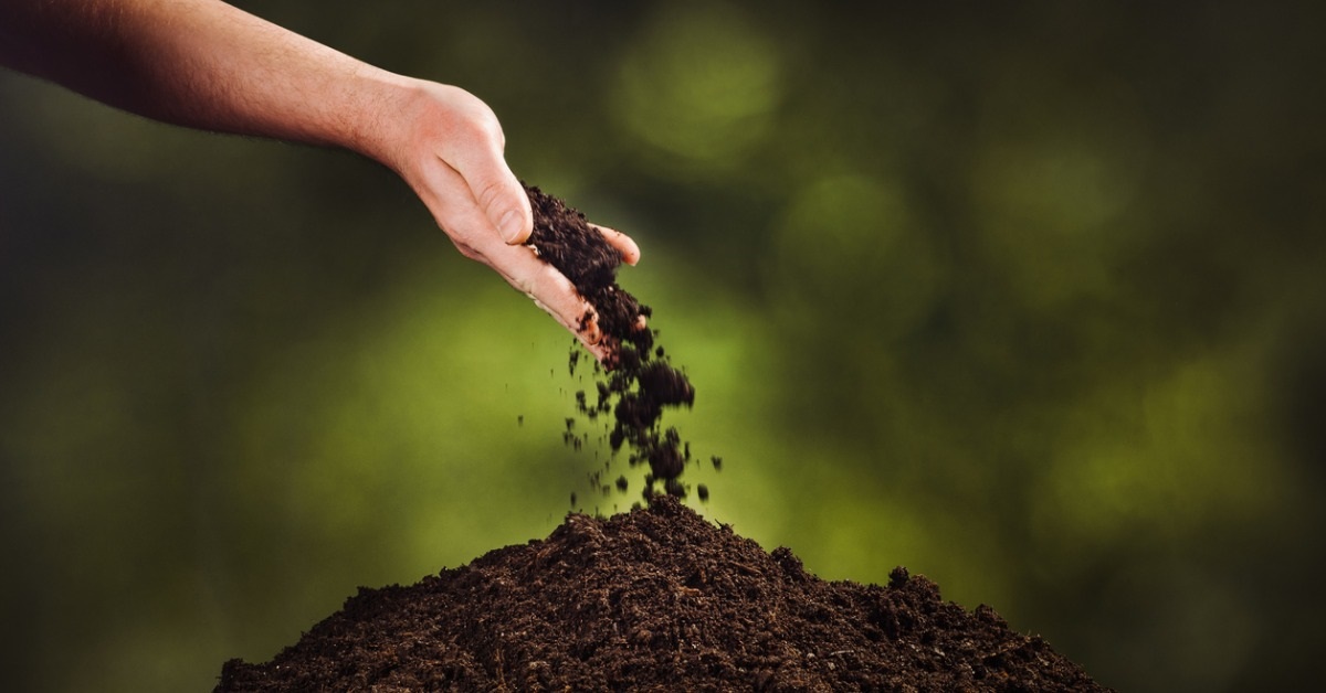 Turn Your Deceased Loved One Into Soil: First Human Compost Site to ...