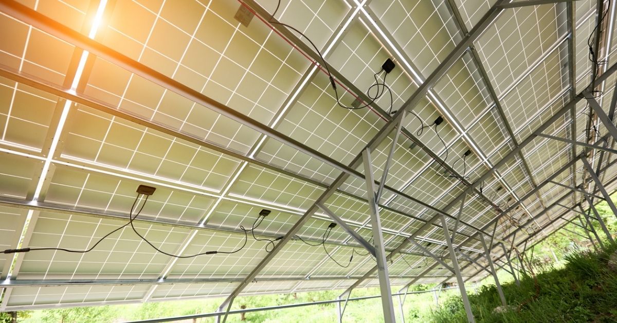 Tinted Solar Panel Farms Can Grow Food While Generating Electricity
