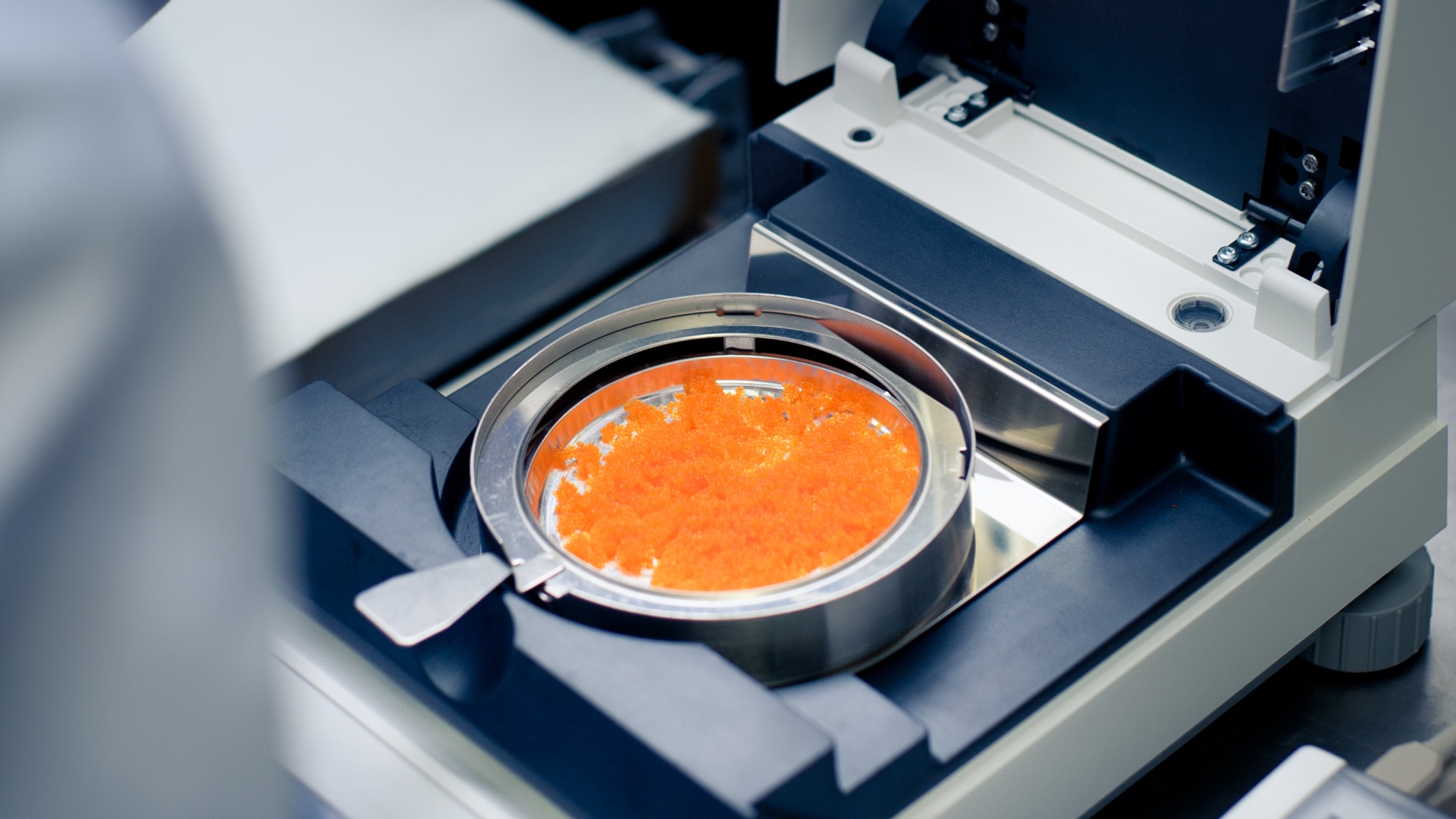 Bon Appétit! Is Lab-Grown Sea Food the Wave of the Future?