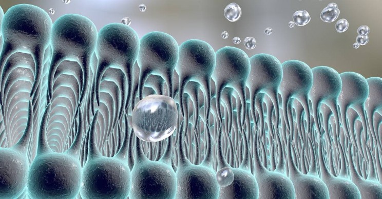 Incredible Artificial Protein Opens Up Potential for Smart Cell Therapies