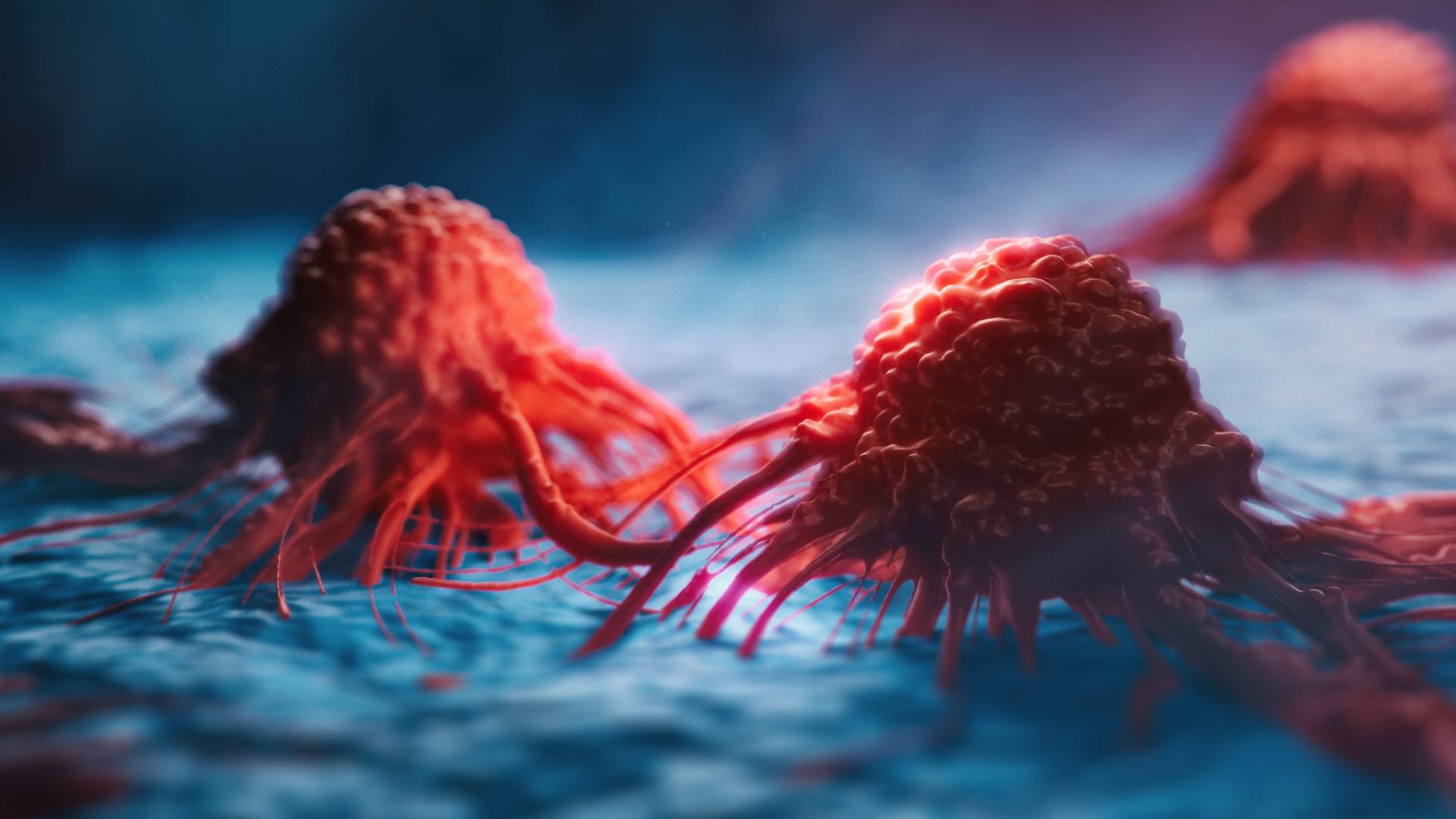 Study Explores Using a Body's Own Immune System to Fight Cancer | IE