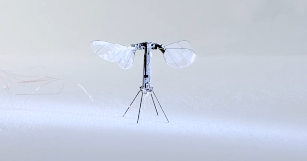 RoboBee Flies Untethered for First Time, Lightest Vehicle Ever to Do So