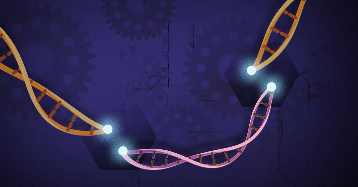 New CRISPR Enzyme Mutation Nearly 100 Times More Precise
