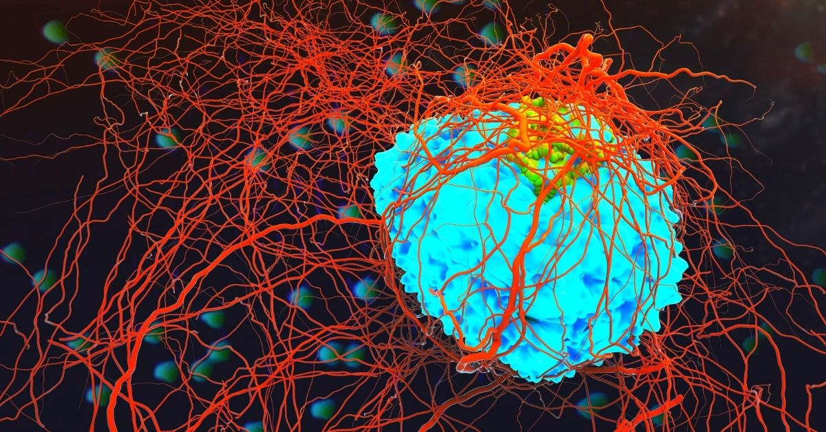 Cancer Cells Use Bear-Like Hibernation - Evading Chemo? | IE