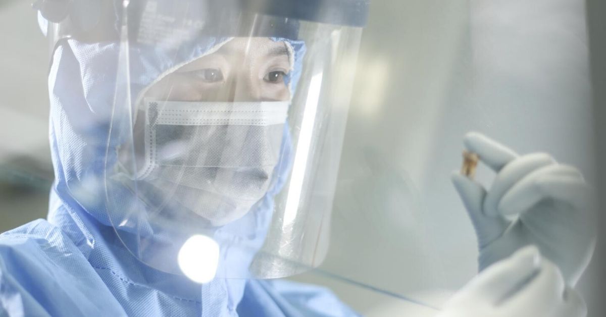Ancient DNA Reveals Crucial Missing Genomes of East Asia