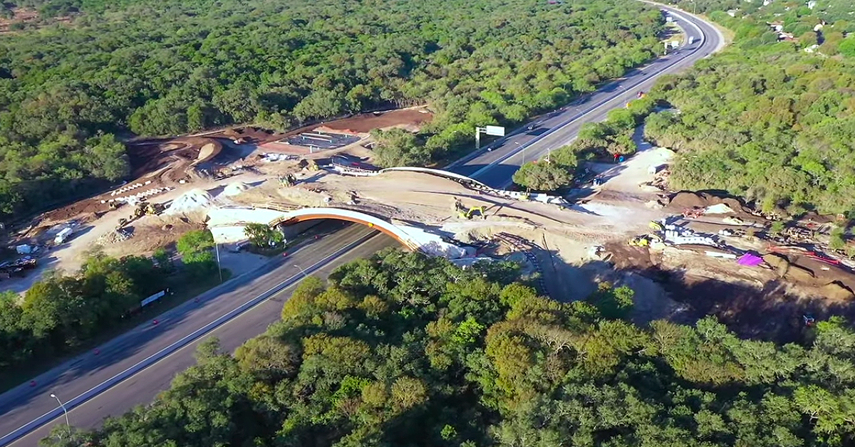 $23 Million Wildlife Crossing Opens in Texas | IE