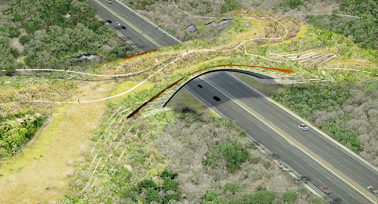$23 Million Wildlife Crossing Opens in Texas | IE