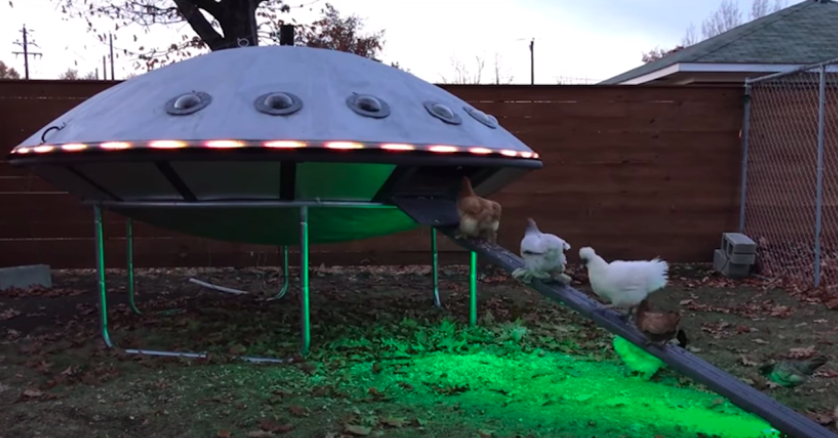 UFO Chicken Coop Attracts 'Eggcelent' Puns Online | IE