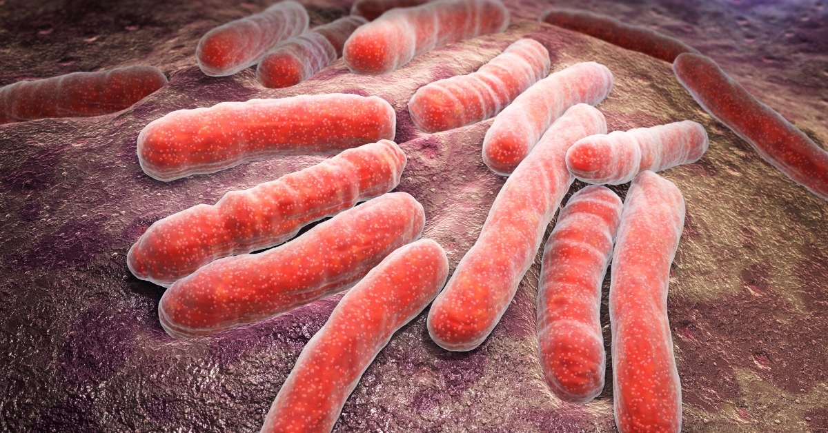 Waking Sleepy Bacteria Cells Helps Fight Infection
